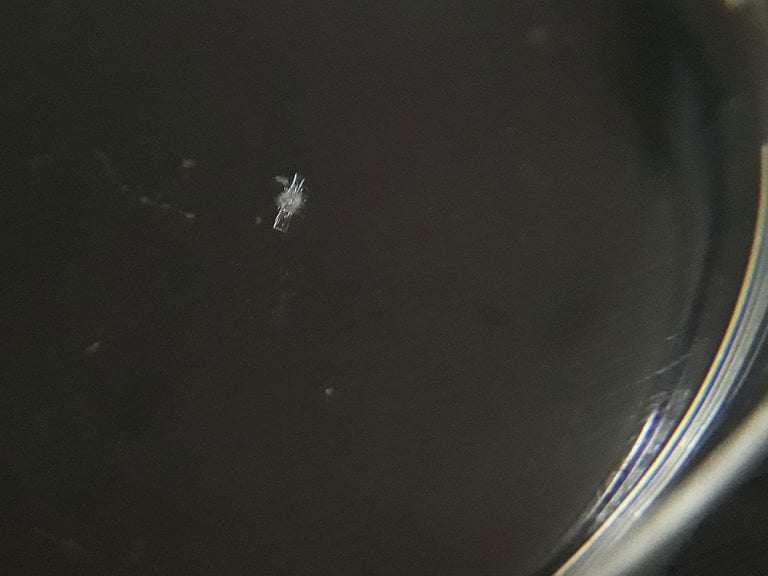 How to Grow Monosodium Glutamate (MSG) Crystals - Crystalverse