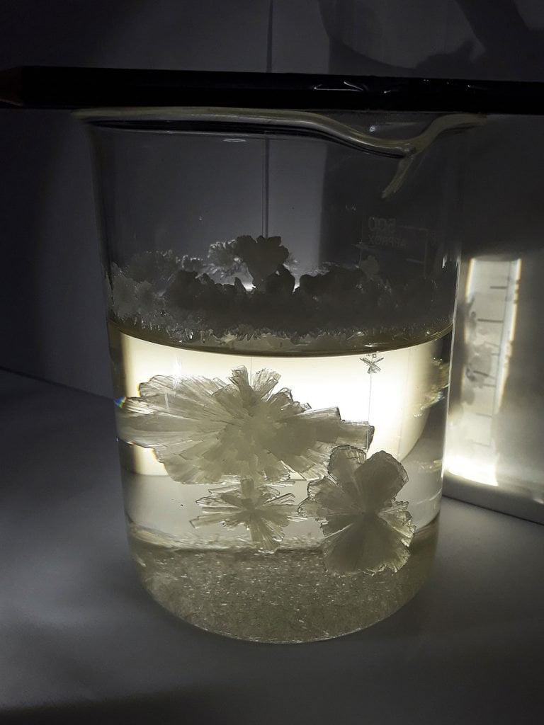 How to Grow Monosodium Glutamate (MSG) Crystals - Crystalverse