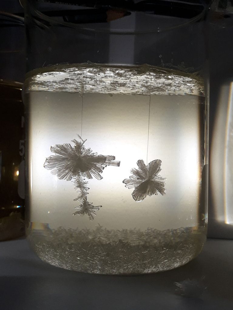 How to Grow Monosodium Glutamate (MSG) Crystals - Crystalverse