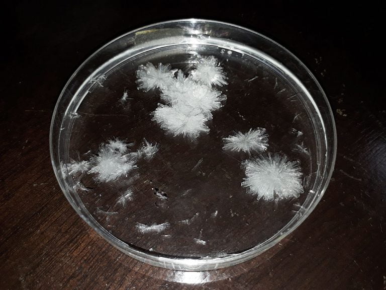 How to Grow Monosodium Glutamate (MSG) Crystals - Crystalverse