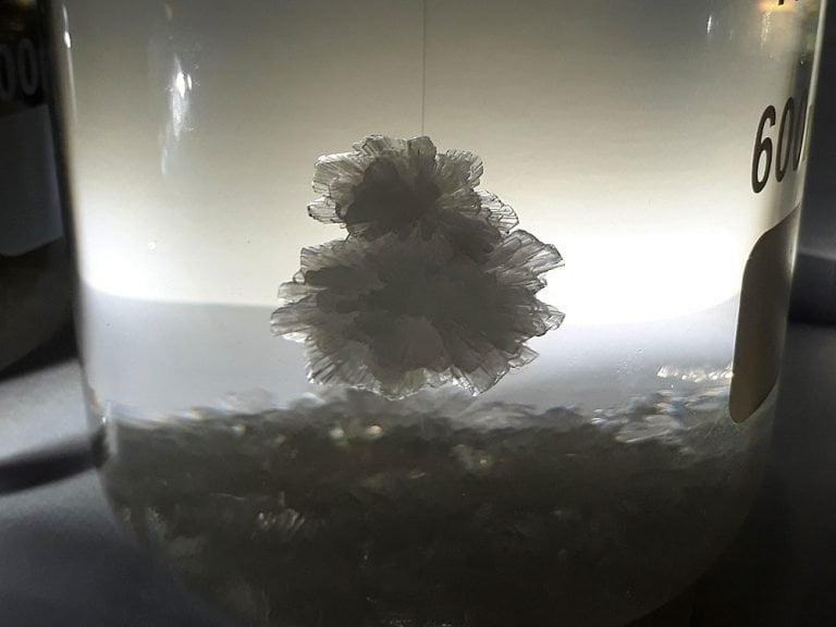 How to Grow Monosodium Glutamate (MSG) Crystals - Crystalverse